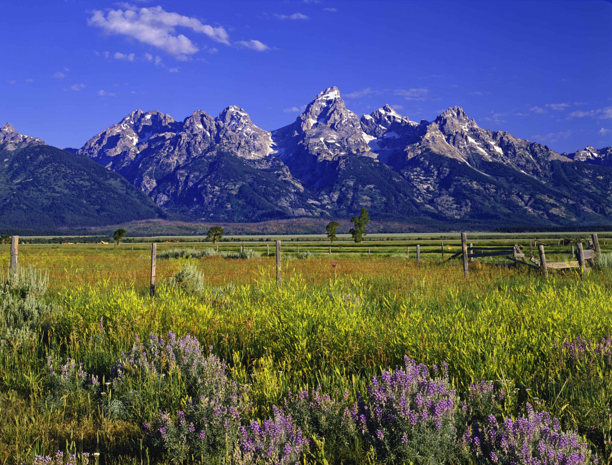 Seasonal Jobs at National Parks - MountainJobs.com